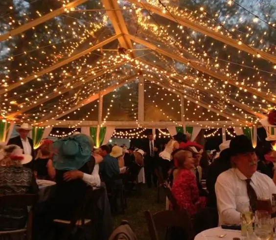 Festival Tent - Tailor-Made For Outdoor Festivals