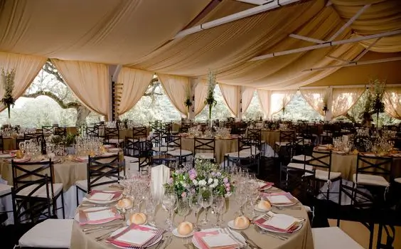 Party Tents for Events | Shelter Structures