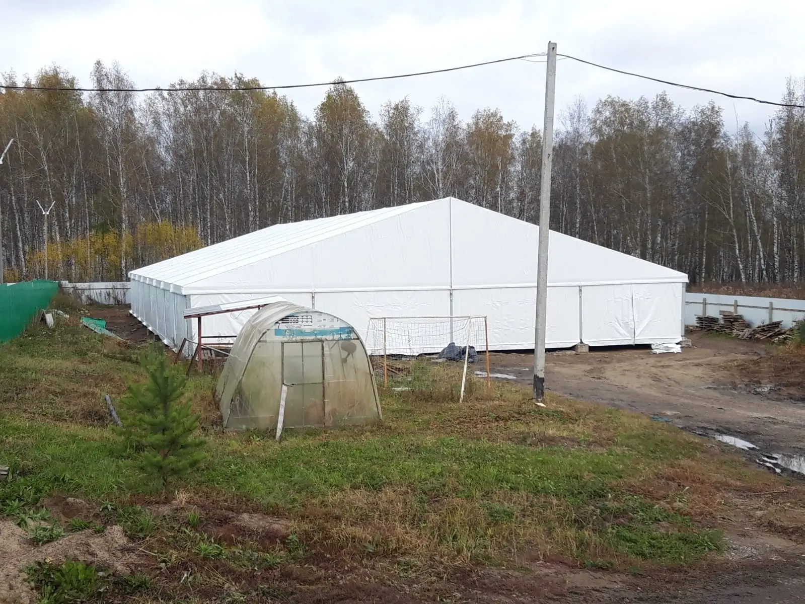 Durable Greenhouse Solutions for All Climates | Shelter Structures