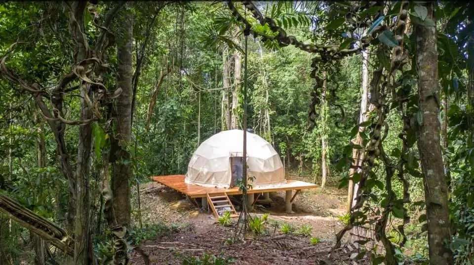 Experience Wilderness Fun with Glamping Dome