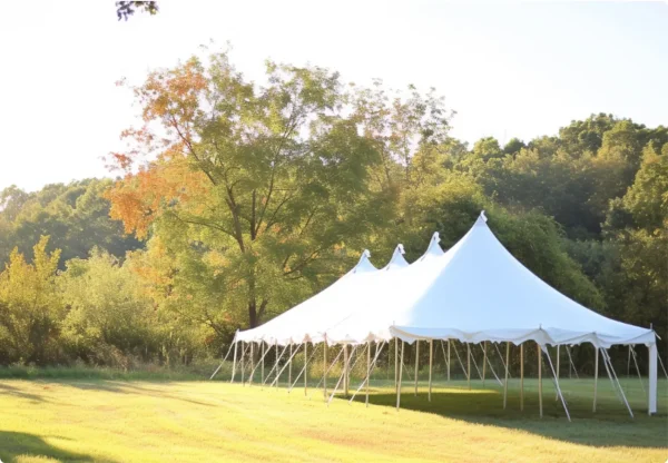 Festival Pole Tent for Large Events | Shelter Structures