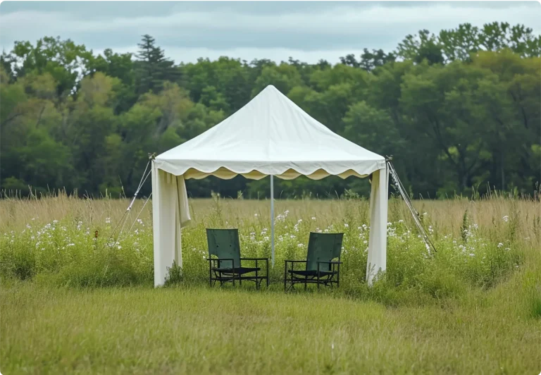 10x10 Canopy Pole Tents For Sale | Shelter Structures