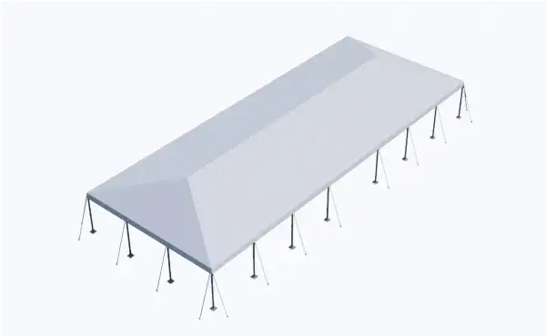 Ultimate 30x75 Party Frame Tent: Perfect for Grand Events