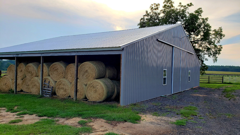 What is a Clear Span Building? Benefits, Types, and Cost Analysis