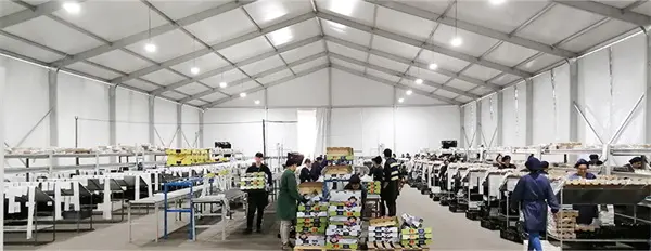 Cost of Commercial Storage: Shelter Structures Guide