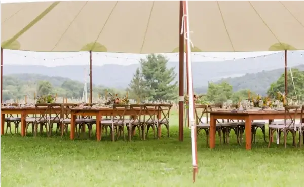 How to Plan a Small Backyard Wedding in 2024