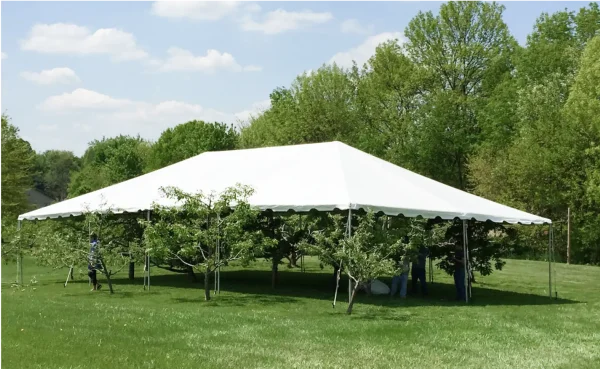 20x50 Frame Tent: Ideal for Events & Celebrations