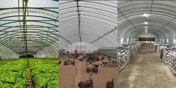Explore the Possibilities of Hoop Buildings on Farms