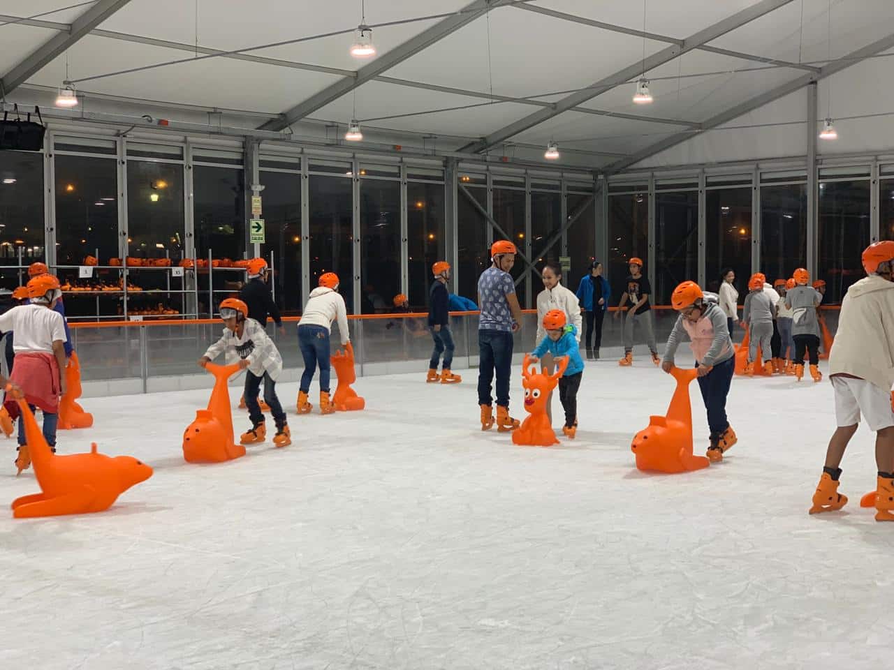 20x50x4M Event Tent,All Seasons Ice Rink Event Tent | Shelter Structures